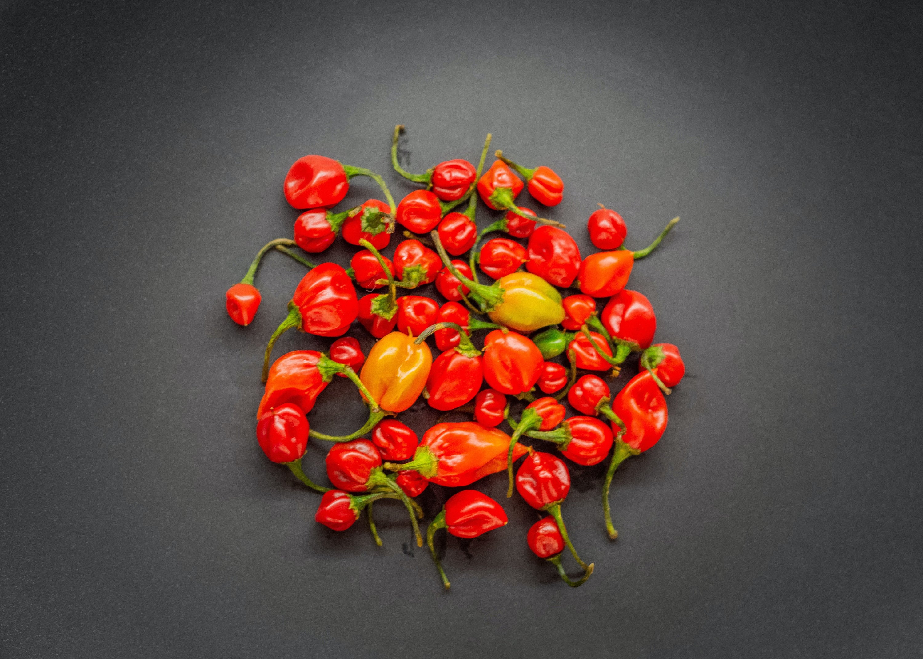 Here's Everything You Need to Know About Bhut Jolokia – Tassyam Organics